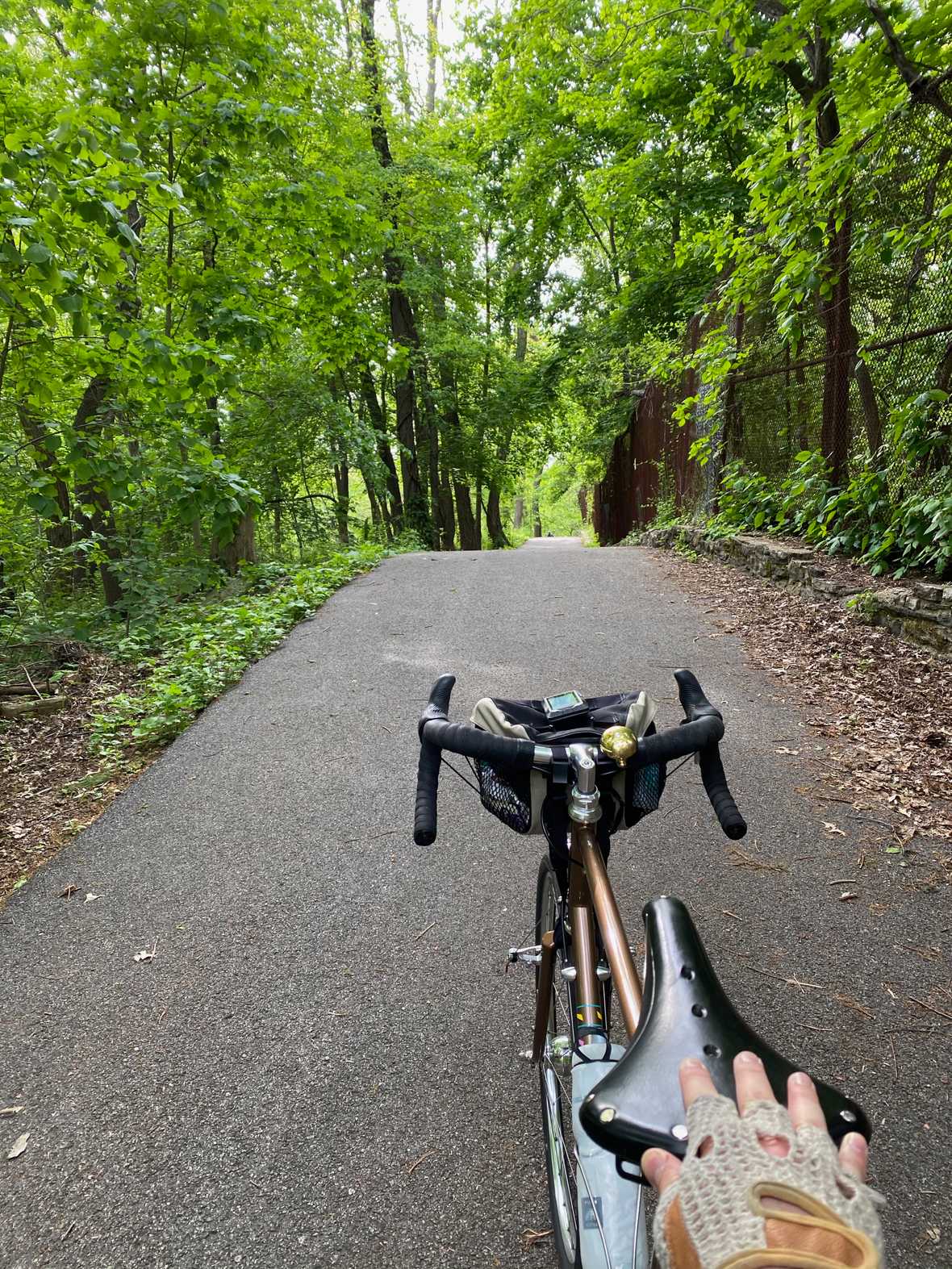 Crust Canti Lightning Bolt Build | Ryan Rando